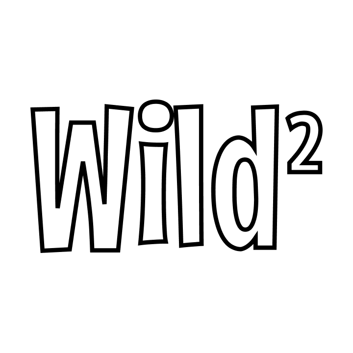 Web Development - Κατασκευή Ιστοσελίδων και e-shop | Wild Wild Web